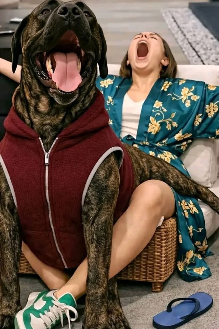 Young woman hospitalized after being penitentiated…See more – T R E N D ...